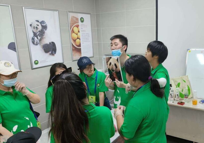 A Day-long Dream Tour: Being a Giant Panda Keeper - Who Should Consider This Tour?