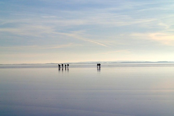 A Day on the Ice in Stockholm - Gliding on the Frozen Lake