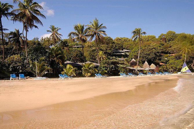 A Day Over Young Island - What to Expect from the Tour