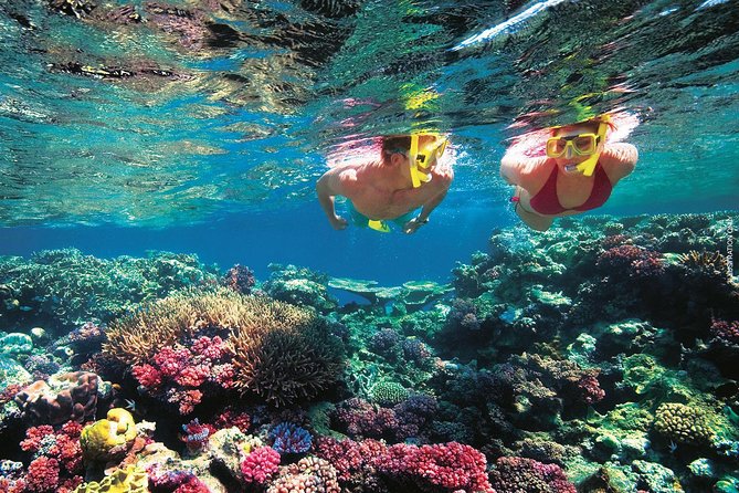 A Day to Komodo Island - The Experience of the Guides and the Marine Life