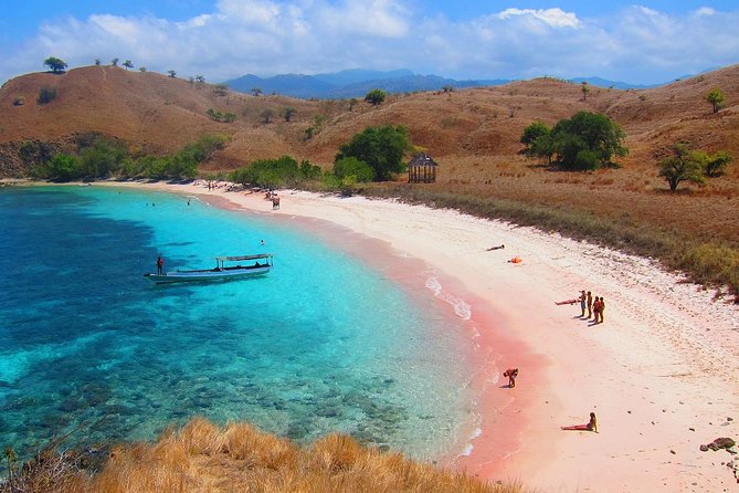 A Day to Komodo Island - The Sum Up: Who Will Love This Tour?