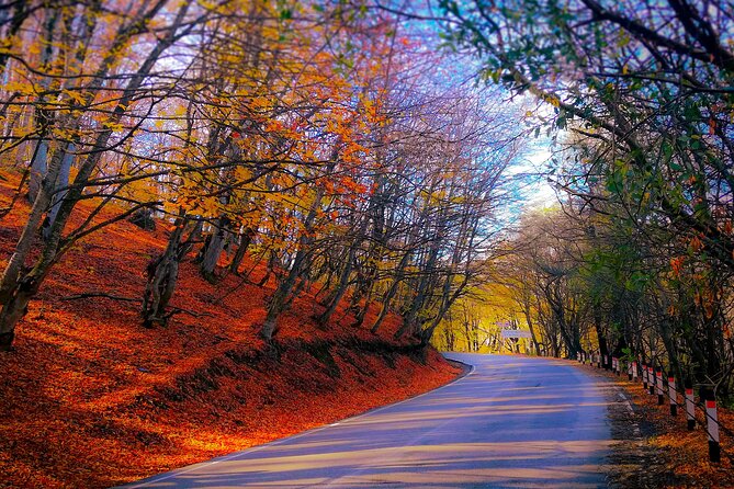 A Day Tour to Kakheti Region/Wine/Culture/History and Gastro Tour - Immersive Wine Tasting Experience