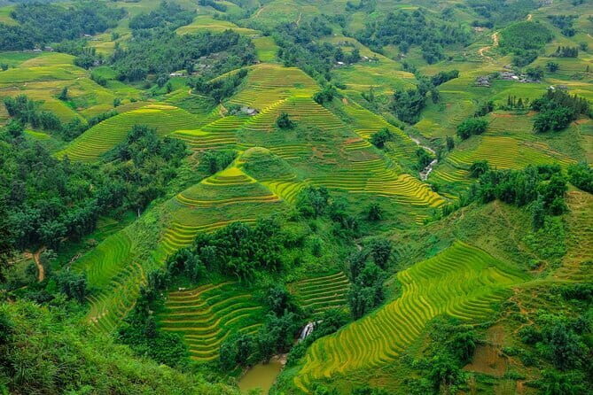 A day Trek to Rice Field in LaoChai-Tavan village-MuongHoa valley - What You Can Expect from the Itinerary