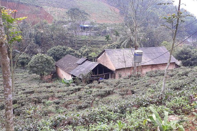 A Day Trekking in Sapa - An In-Depth Look at the Tour Experience