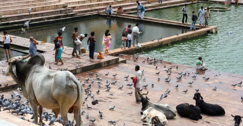 A Day Trip of Pushkar From Jaipur - Analyzing the Cost and What You Get