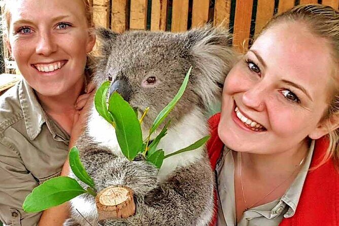 A Day with Penguins & Kangaroos: Small group Phillip Island Tour - Detailed Review of the Experience
