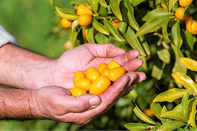 A delightful food tour of the unique local products of Corfu. - FAQs