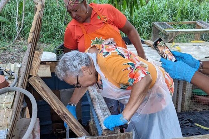 A Evening Cultural Experience Through Food Cooking Class St. Croix - An In-Depth Review of the Experience