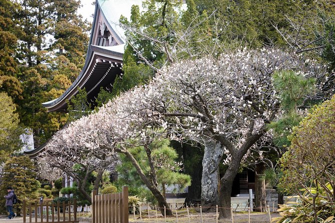 A Fun Day Out Discovering Kamakura - Personalizing Your Kamakura Experience