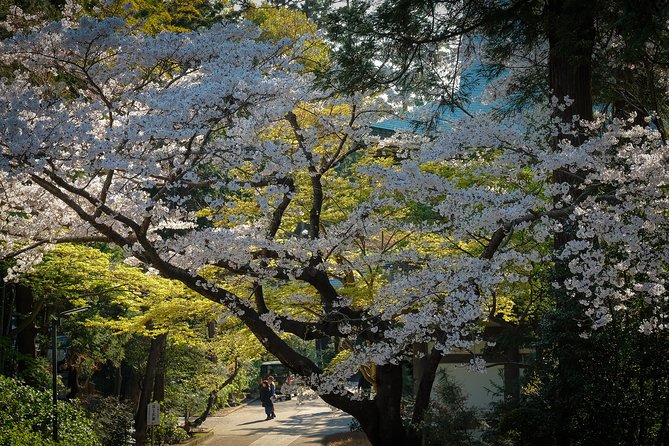 A Fun Day Out Discovering Kamakura - Pricing and Booking Flexibility