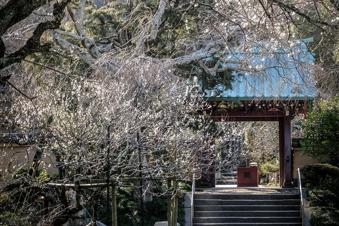A Fun Day Out Discovering Kamakura - Positive Customer Feedback and Experiences