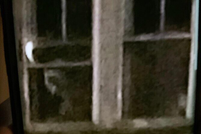 A Ghost Hunting Tour Specters and Apparitions in Salem - Authenticity and Value