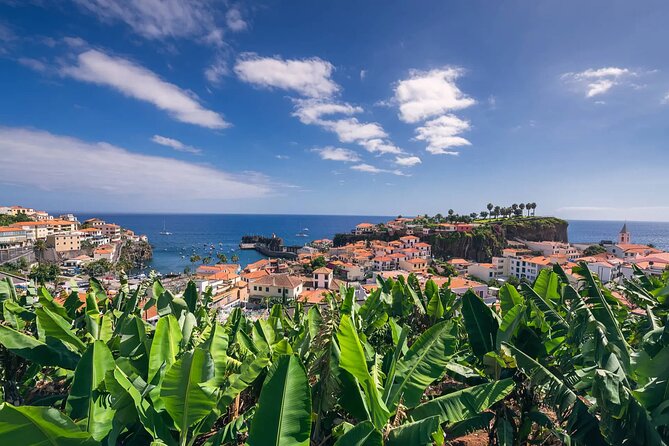 A great tuk-tuk adventure Tour at Cabo Girão - Skywalk - An In-Depth Look at the Tuk-Tuk Madeira Tour