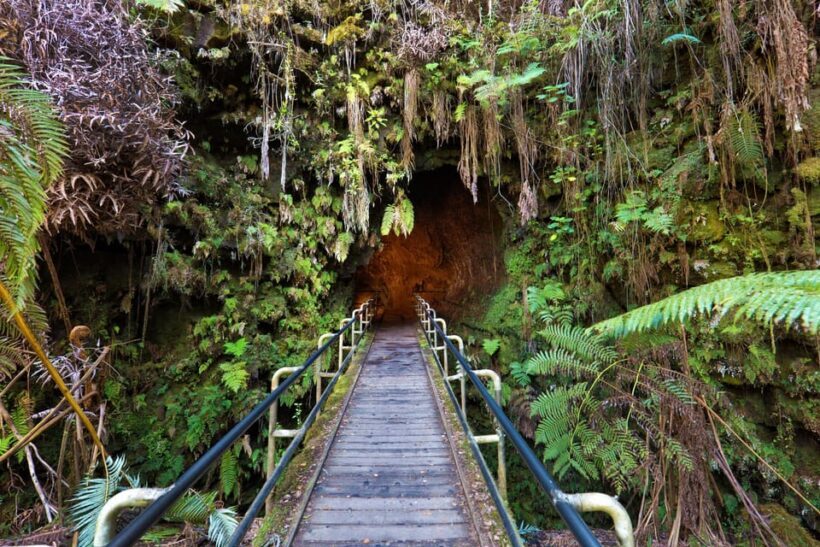 A Guided Hike Adventure: Kilauea Iki Crater and a Lava Tube - Exploring Hawaii’s Volcanic Wonders: An In-Depth Review