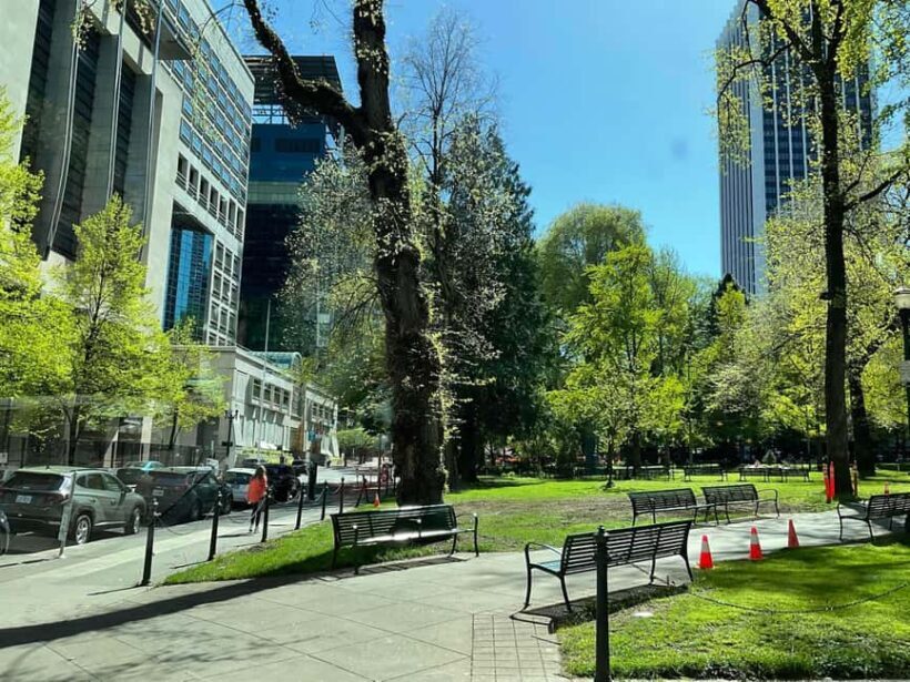 A Guided Walking Tour of Vibrant Downtown Portland - Authentic Experiences and Personal Touches