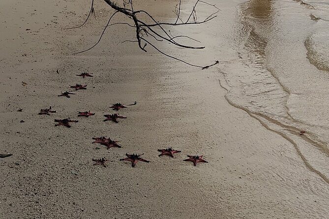 A Half Day Tour - Authentic Nature Tour - Flexibility and Personalization