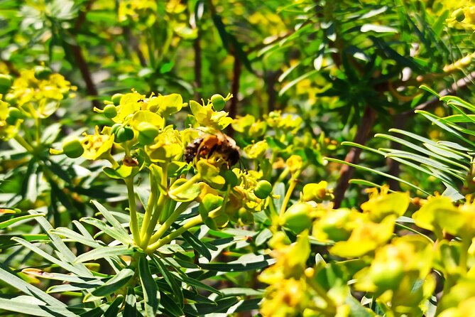 A Hike to the Devils Saddle - Ascending to the Tower of SantElia