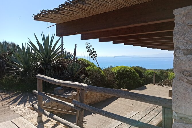 A Hike to the Devils Saddle - Navigating the Uneven Terrain