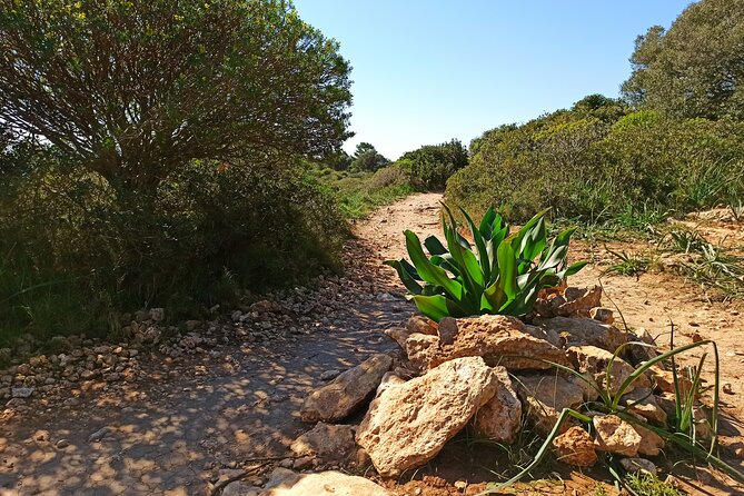A Hike to the Devils Saddle - Meeting Point and Pickup Details