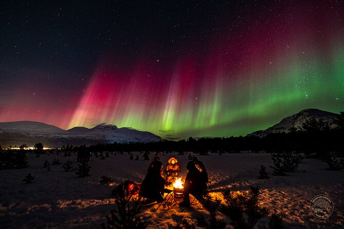 A Journey in Search of the Northern Lights | Private - Memorable Moments: Traveler Reviews and Experiences