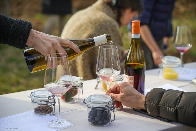 A Journey Into Wines Tastes and Aromas - The Authentic Touch