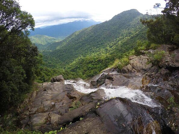 A Journey to Nam O Fish Sauce Village & Bach Ma National Park - A Closer Look at the Day Tour from Da Nang