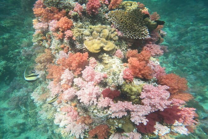 A Koh Lipe Snorkeling Tour - An Overview of the Experience