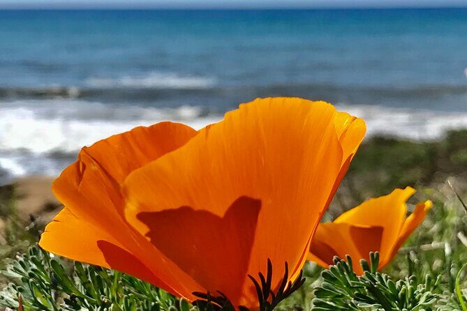 A La La Tour - Private Tour of California's Central Coast - What to Expect on Your Day
