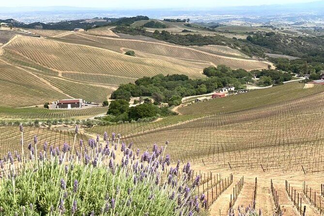 A La La Tour - Private Tour of California's Central Coast - Practical Details and Tips