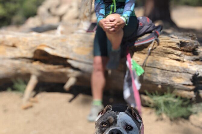 A Local's Favorite Hike in Big Bear with Lake Swimming Experience - The Overall Value