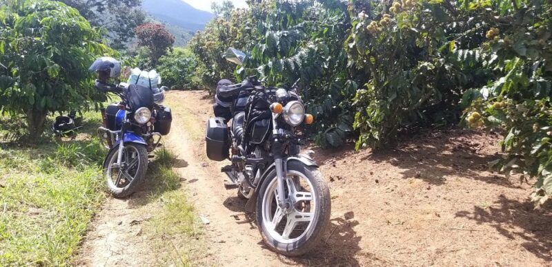 à Lt Countryside Tour: Serene Escapes in the Outskirts - Why This Tour Works Well