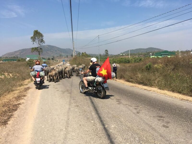 à Lt Countryside Tour: Serene Escapes in the Outskirts - Who Should Consider This Experience?