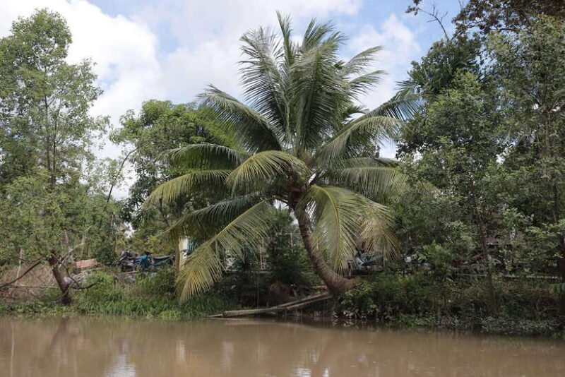 A Premium Journey Through Can Tho Small Canals - FAQ