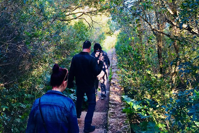 A PRIVATE Afternoon South of Lisbon, Mountain WINES and SECRET Places! - Exceptional Customer Feedback and Praise