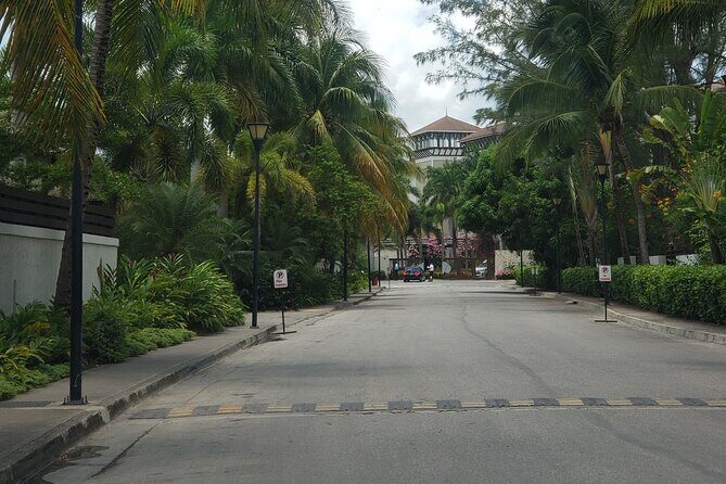 A "Private" Airport Transfer to any Resort in NEGRIL - The Reviews Speak for Themselves