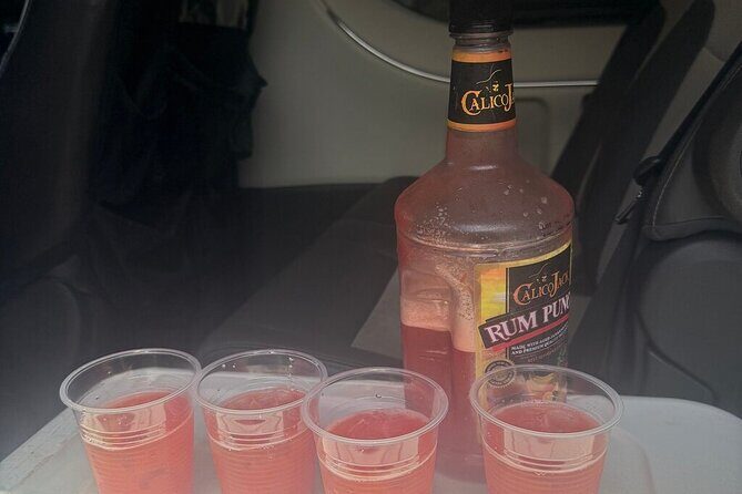 A "Private" Airport Transfer to Grand & Luxury Bahia Principe - Final thoughts