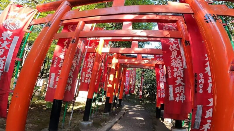 A Private Day in East Kyoto Standard - Guided Experience