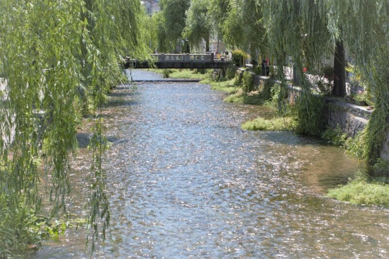 A Private Day in East Kyoto Standard - Accessibility and Restrictions