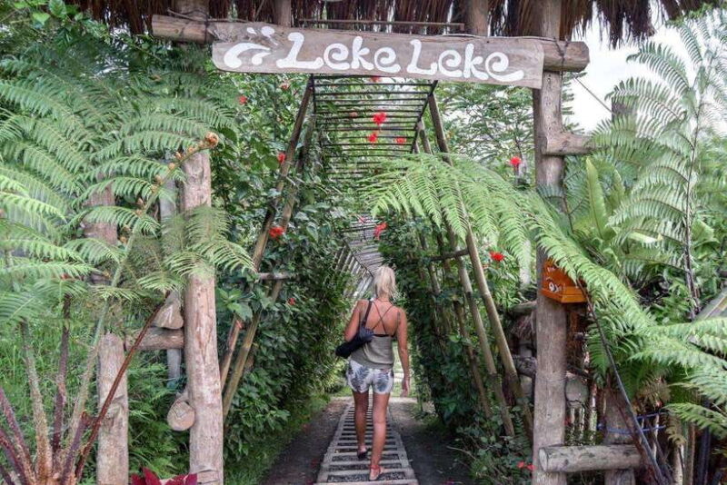 A Private Day Tour To Explore North Part of Bali - Key Points