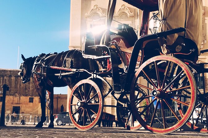 A Private Driver For 6 Hours (Private Tour) - Driver Expertise and Customer Feedback