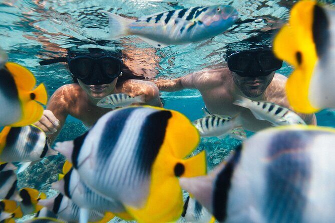 A private tour with Blue Lagoon - Exploring Raiatea and Tahaa with Blue Lagoon