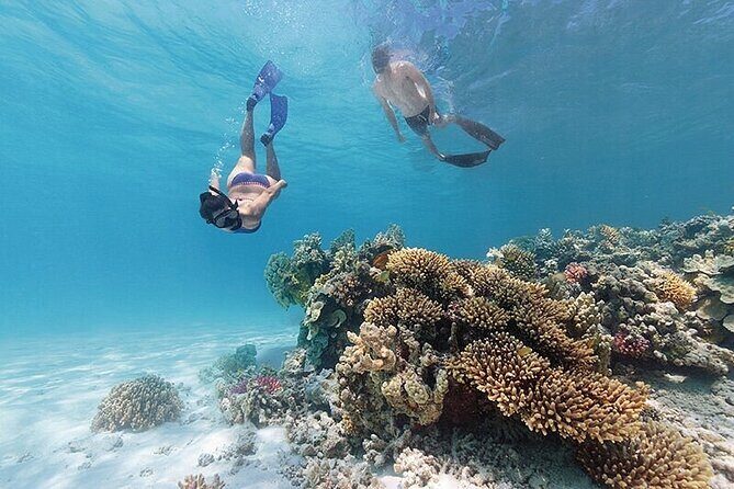 A Private TURTLE Tour on Rarotonga with Photography and Transfers - How the Itinerary Unfolds