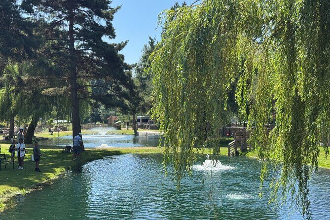 A Relaxing Day of Fishing and Fresh BBQ - A Detailed Look at the Silverbrook Farm Day Tour