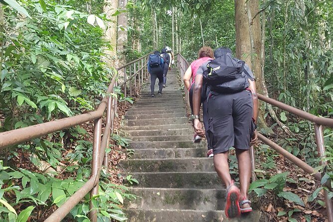 A Rendezvous with Nature - Templer Park and Kanching Waterfall Tour - Authentic Experiences and Insights from Visitors