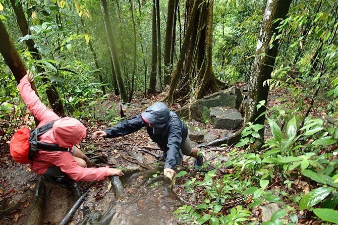 A Rendezvous with Nature - Templer Park and Kanching Waterfall Tour - Who Should Consider This Tour?