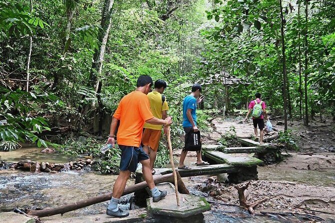 A Rendezvous with Nature - Templer Park and Kanching Waterfall Tour - The Sum Up