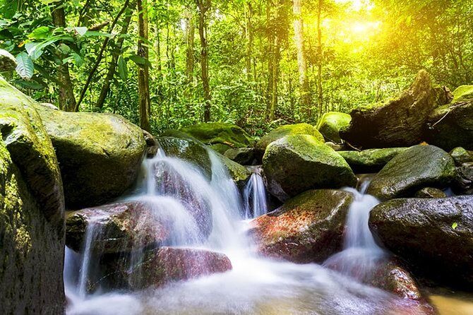A Rendezvous with Nature - Templer Park and Kanching Waterfall Tour - FAQ