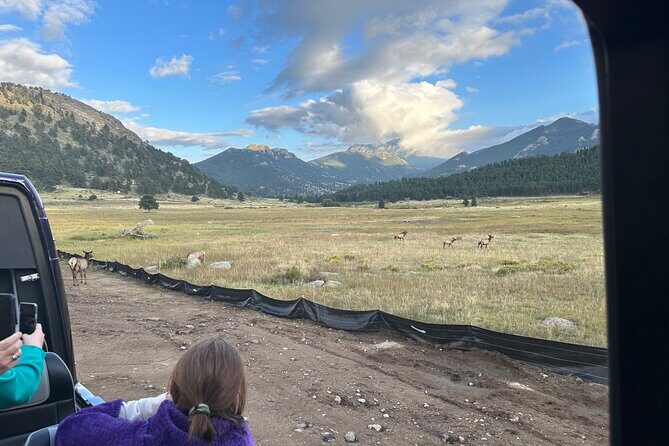 A Rutin' Good Time; Elk Tour in Rocky Mountain National Park - Transportation, Timing, and Group Size