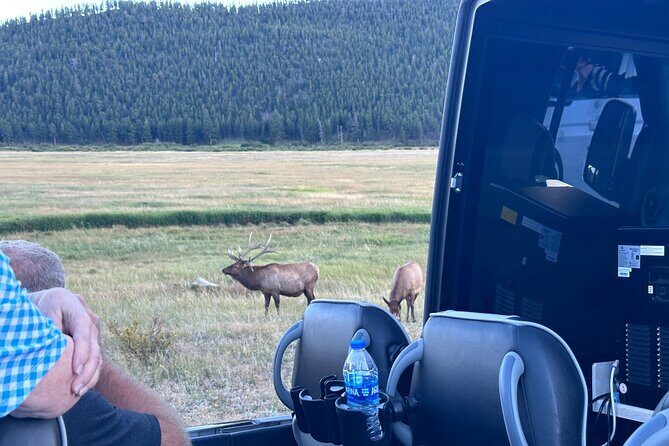 A Rutin' Good Time; Elk Tour in Rocky Mountain National Park - The Cost and Value