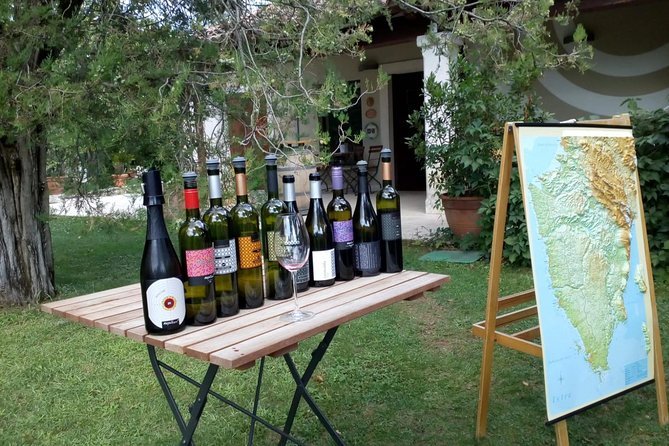 A Sample Of Wine, A Sample Of Istria - A Short But Fulfilled Program - A Taste of Istria: A Small-Group Wine Tour from Rovinj
